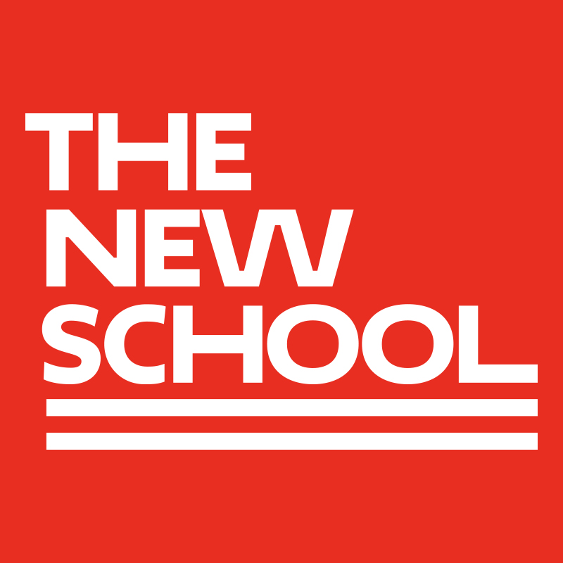 The New School - Admissions & Scholarships | IvyCourse